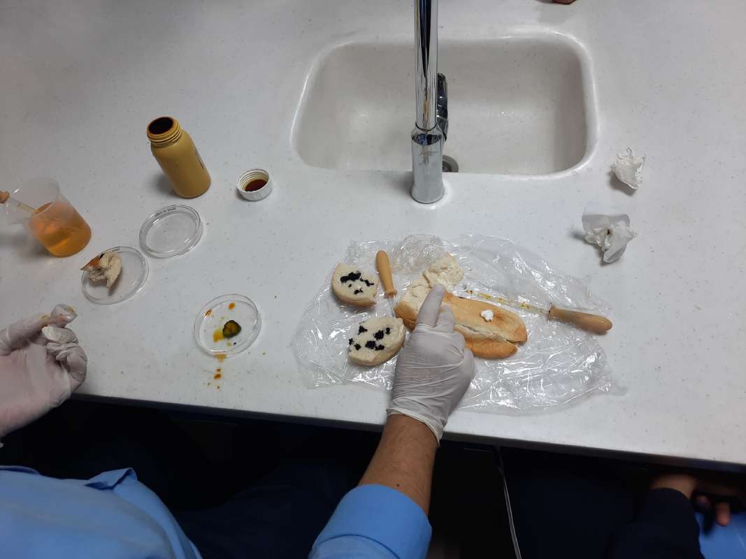 Classroom Activity – Atlas International School